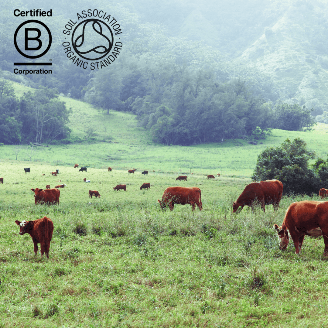 Grass Fed And Pasture Raised Quality Assurance Ossa Organic